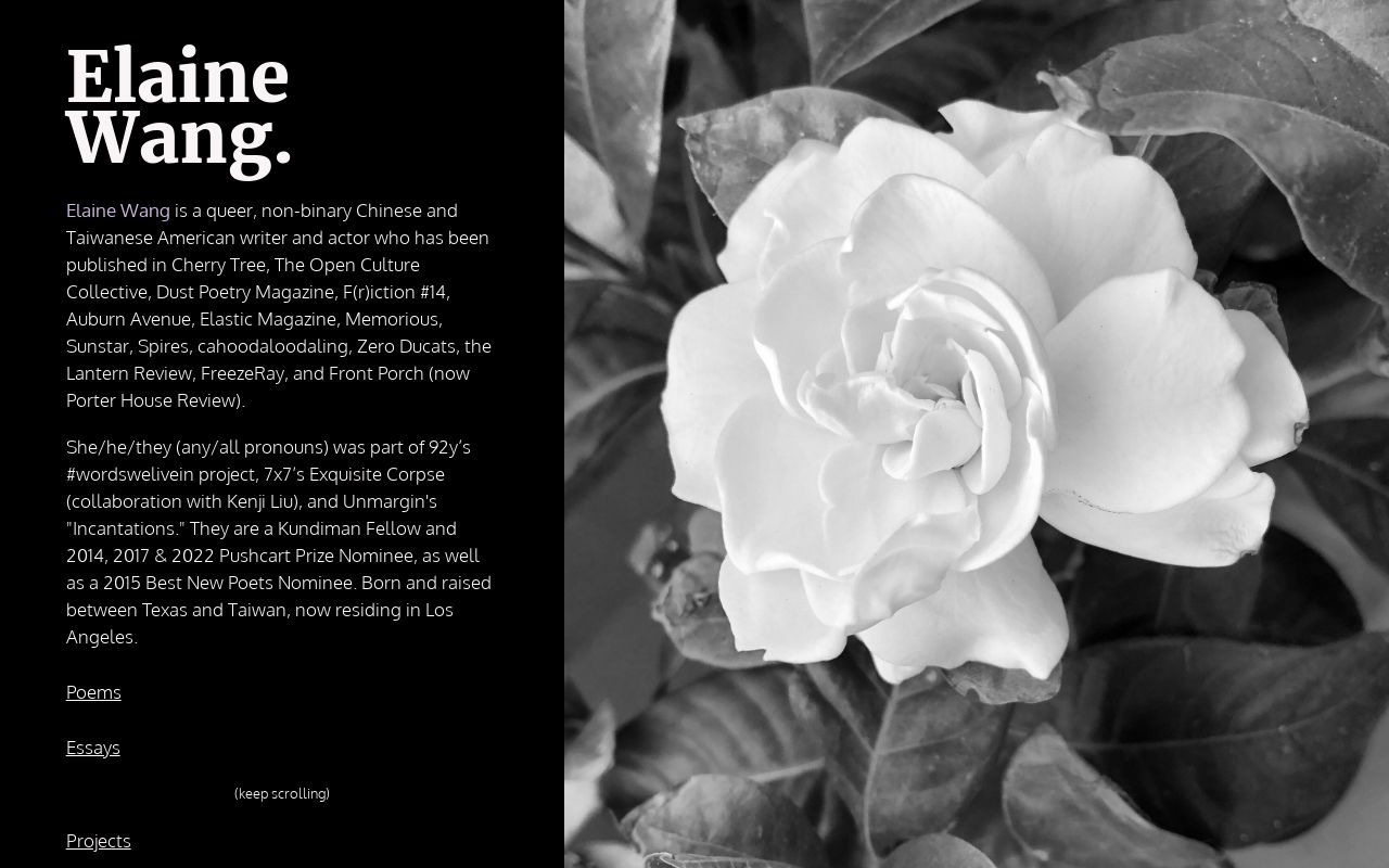 Elaine Wang - Writing